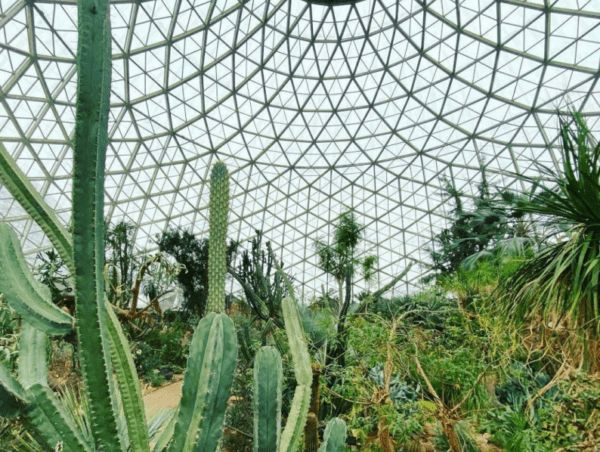 Tropical Dome | Milwaukee Domes | Milwaukee Domes Alliance